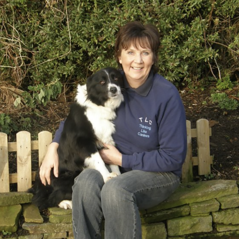 Barbara Sykes – Mainline Border Collie Centre
